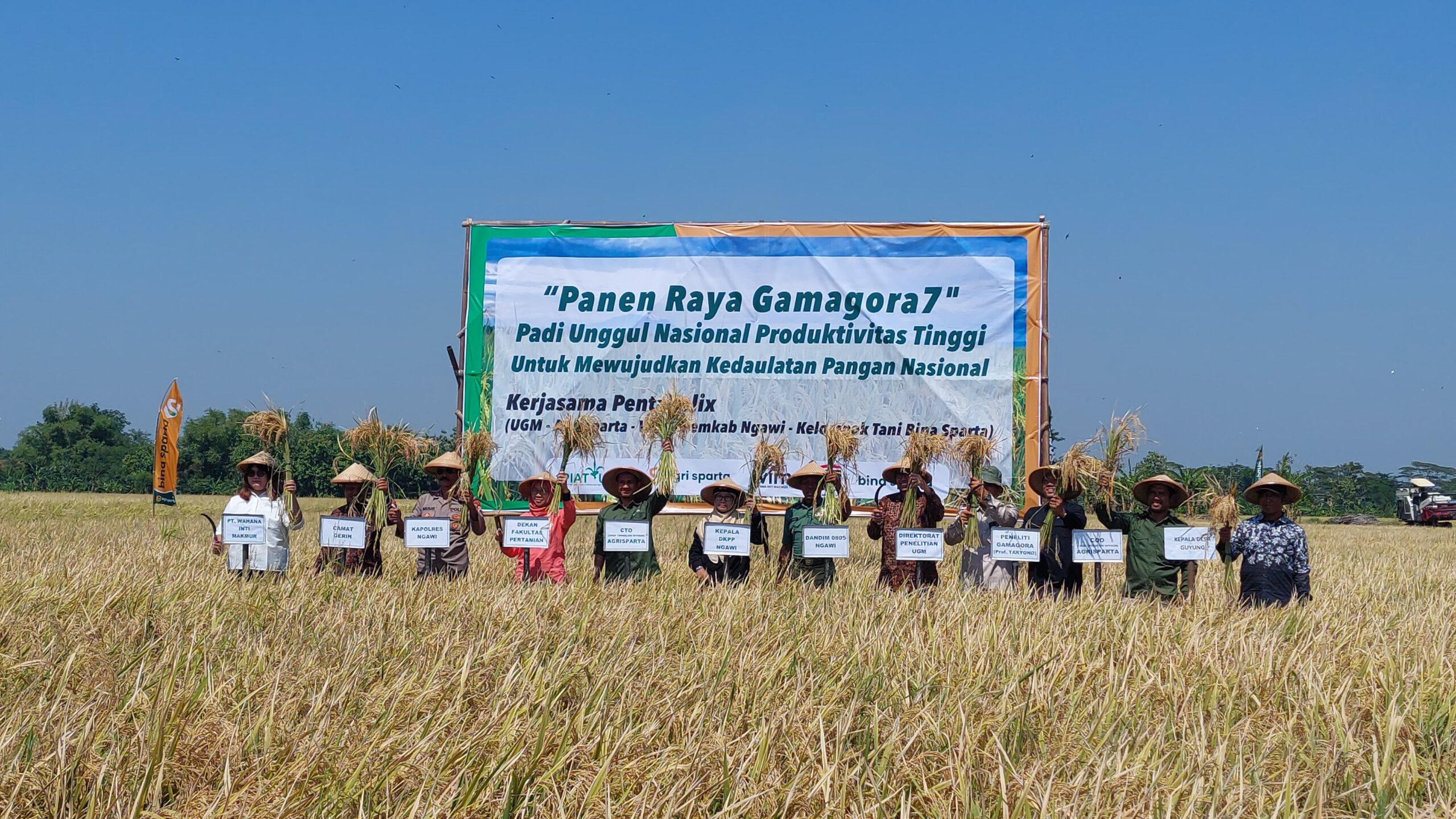 Panen Raya Padi Varietas Gamagora-7 (Gadjah Mada Gogo Rancah 7) | Dinas ...