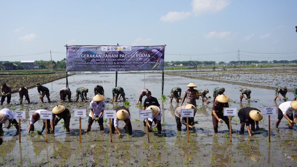 Gerakan Tanam Padi Bersama | Dinas Ketahanan Pangan dan Pertanian Ngawi